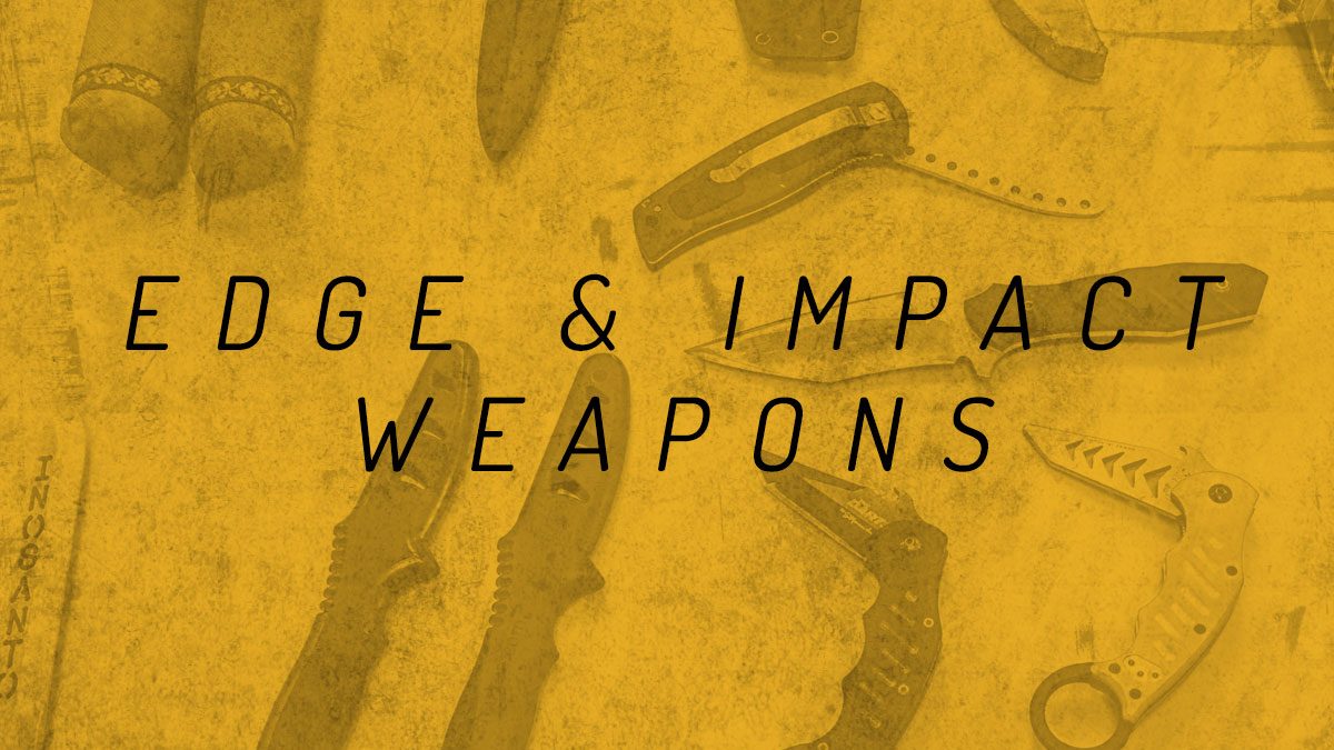 Elite Self-Defense + Weapons Training in RTP, Durham, NC